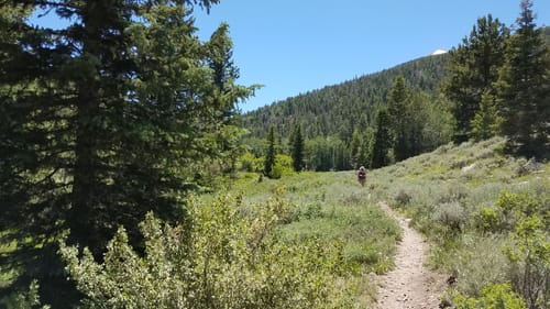 2023 Best 10 Hard Trails in Great Basin National Park | AllTrails