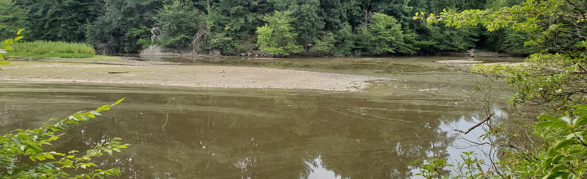 Lake Ridge Red Loop: 78 foto's - Virginia | AllTrails