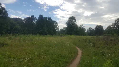 Best Hikes and Trails in Fort Custer Recreation Area | AllTrails