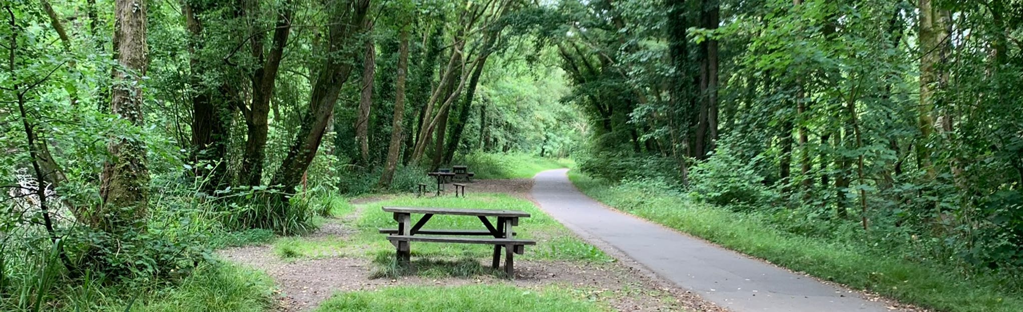 Clyne Cycle Path: 12 Fotos - Swansea, Wales | AllTrails