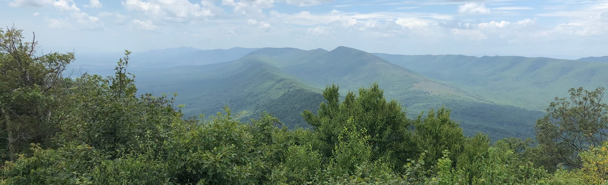 Kennedy Peak Loop: 490 Reviews, Map - Virginia | AllTrails