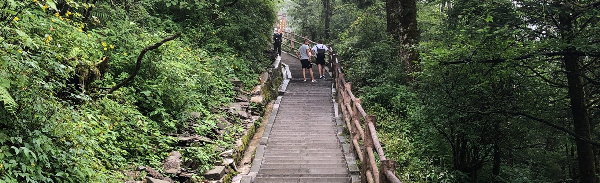 Mount Emei Short Trail: 5 Reviews, Map - Sichuan, China | AllTrails