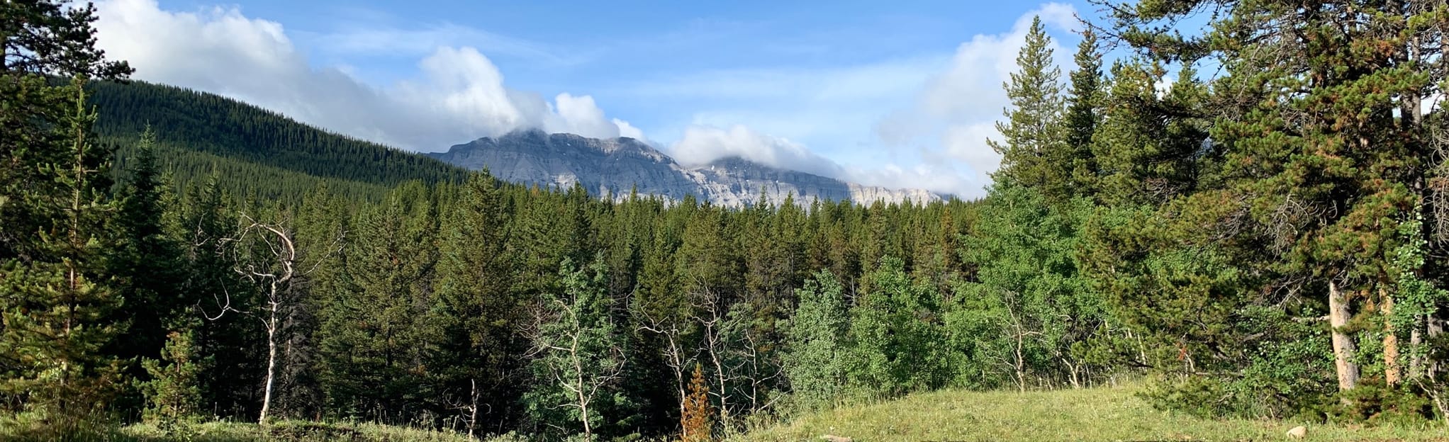 Strawberry Hills Ridge Loop: 4 Reviews, Map - Alberta, Canada | AllTrails