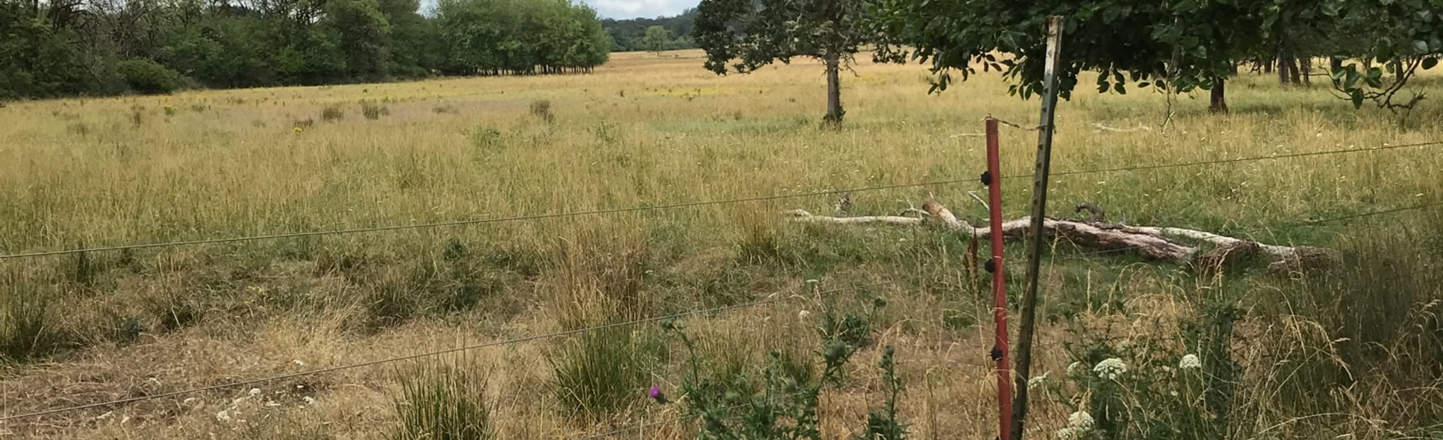 Mulkey Creek Trail, Oregon - 419 Reviews, Map | AllTrails