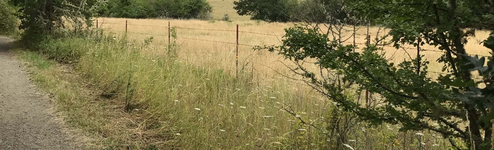 Bald Hill Natural Area Loop, Oregon - 242 Reviews, Map | AllTrails