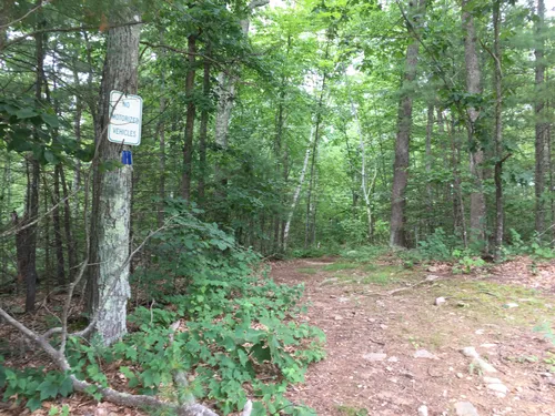 Best Hikes and Trails in Atkinson Forest Lands and Green Area | AllTrails