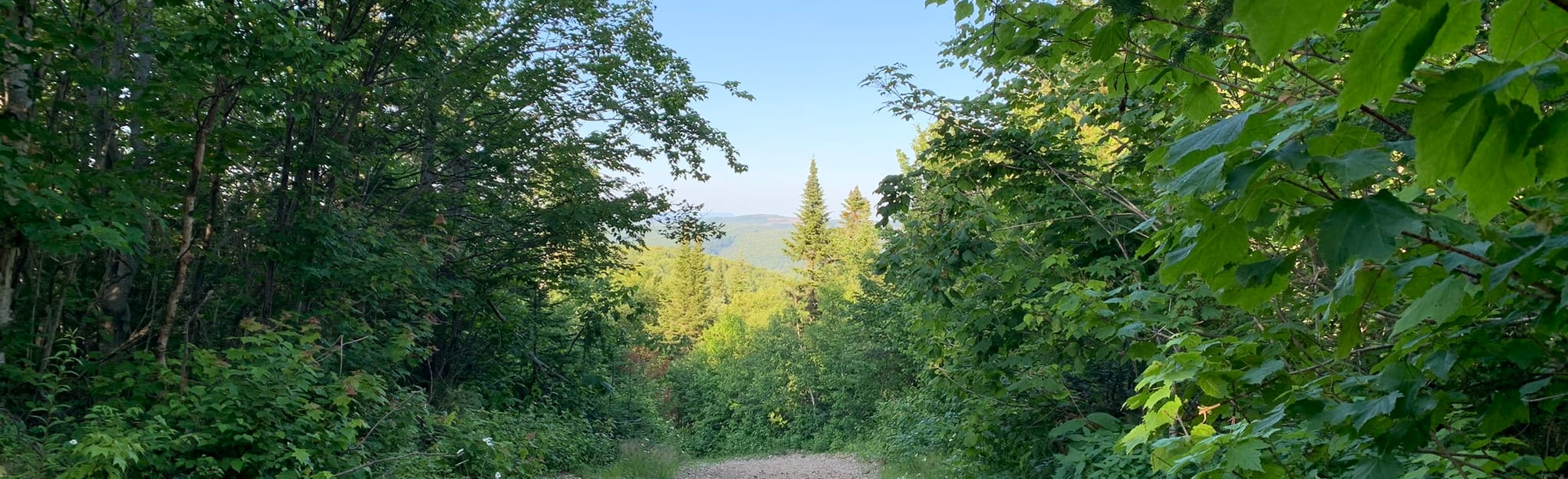 Squaw Cap Mountain - New Brunswick, Canada | AllTrails