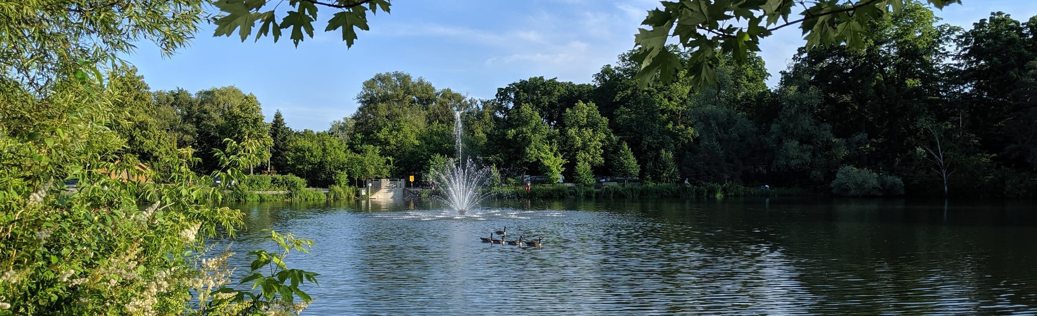 Mill Pond Park Trail : 226 Reviews, Map - Ontario, Canada | AllTrails