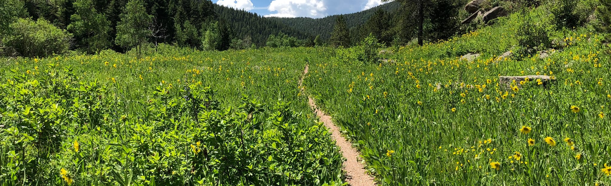 Raspberry Chautauqua Mountain Trail, Colorado - 328 Reviews, Map ...
