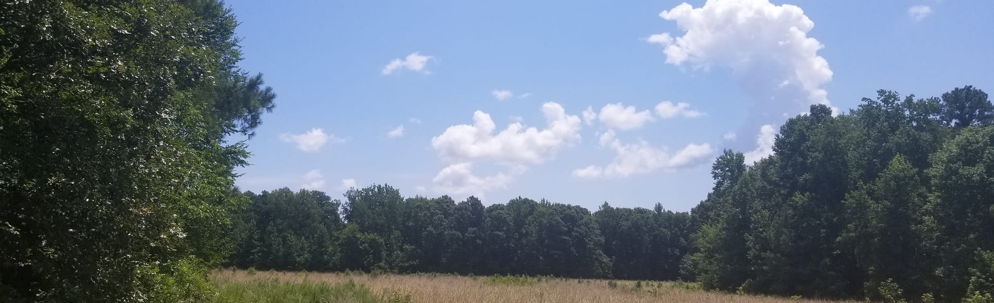 Five Forks Battlefield: 156 Reviews, Map - Virginia | AllTrails