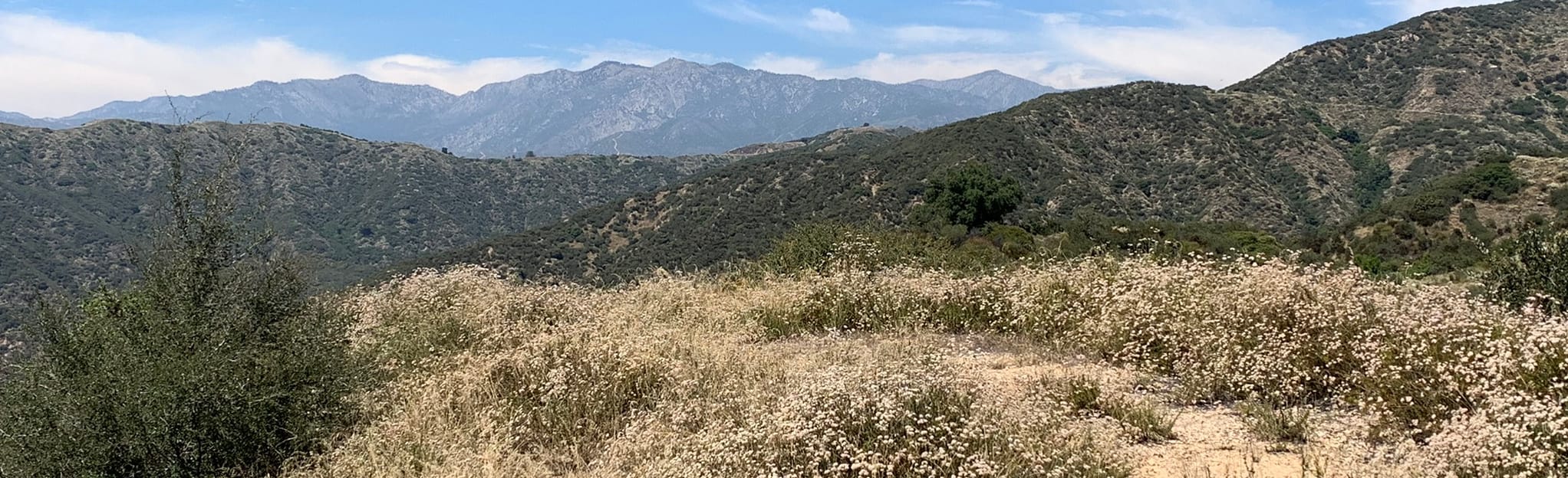 Poop Out Trail - California | AllTrails