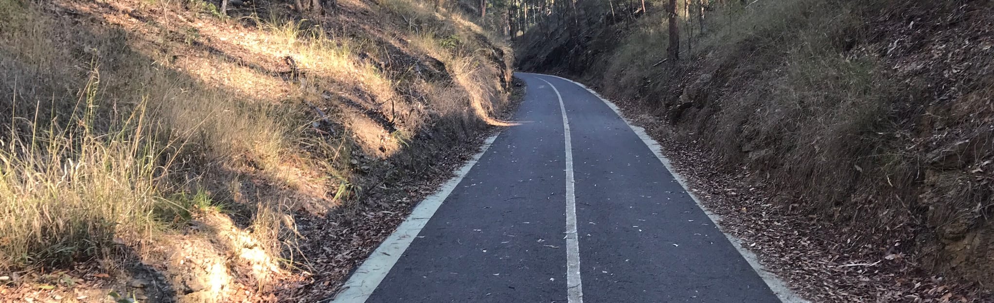 Dead Cat, Power Line Run and Lanita Rail Trail: 26 Reviews, Map ...