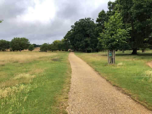2023 Best 10 Trails in Richmond Park | AllTrails