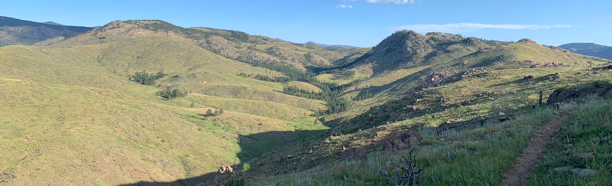 Ginny and Powerline Trail Loop, Colorado - 233 Reviews, Map | AllTrails