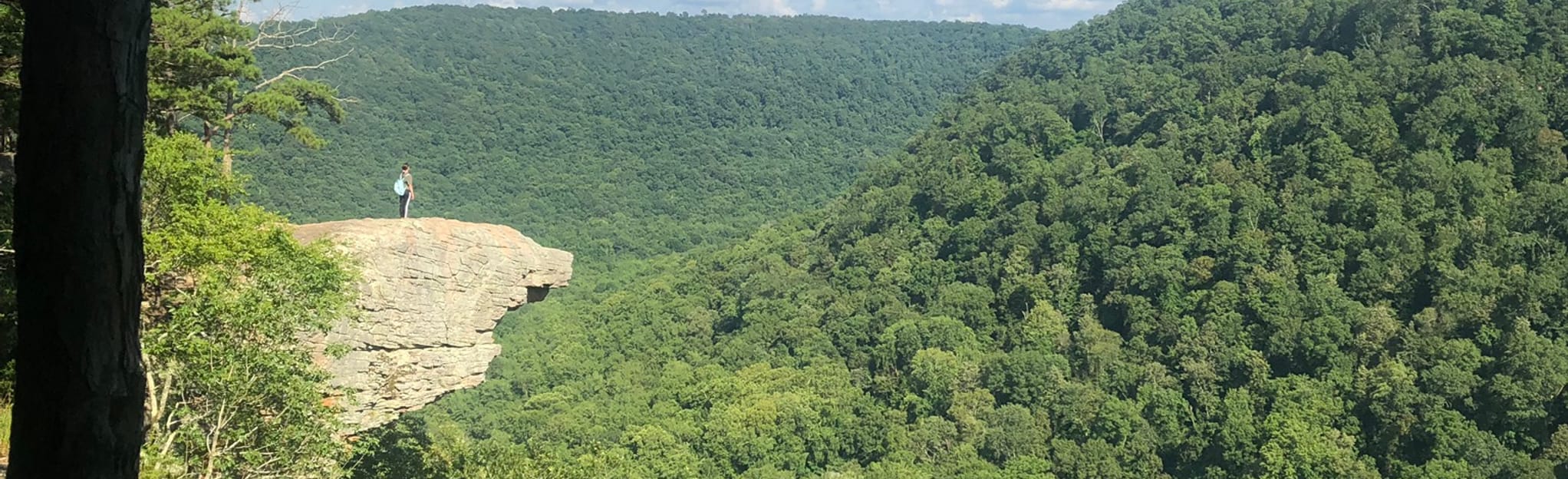 Whitaker Point Trail (Hawksbill Crag) - Arkansas | AllTrails