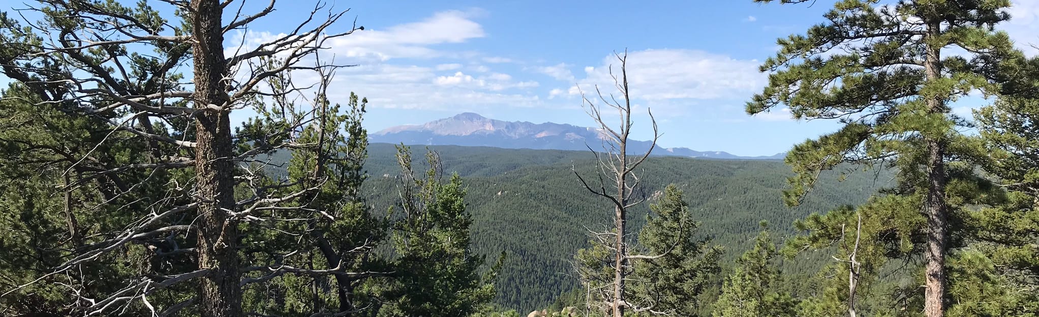 Mount Herman Scramble: 155 Reviews, Map - Colorado | AllTrails