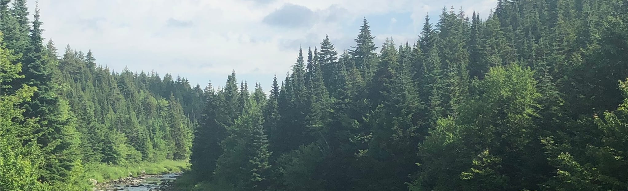 Forty Five River Falls Scenic Drive - New Brunswick, Canada | AllTrails