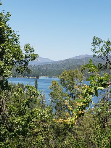 2023 Best 10 Trails and Hikes in Oakhurst | AllTrails