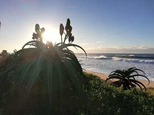Best Hikes and Trails in Umdloti | AllTrails