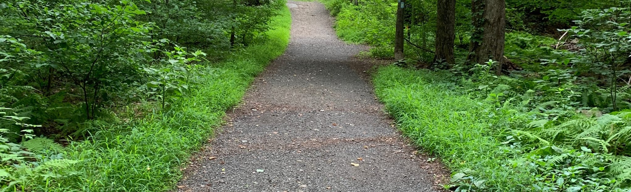 Beaver Pond Trail and Tunxis Trail Loop | Map, Guide - Connecticut ...
