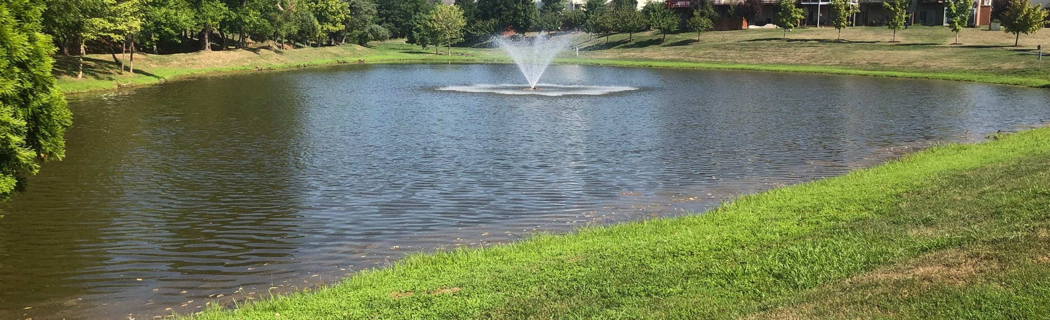 Lyndora Park Walk | Map, Guide - Virginia | AllTrails