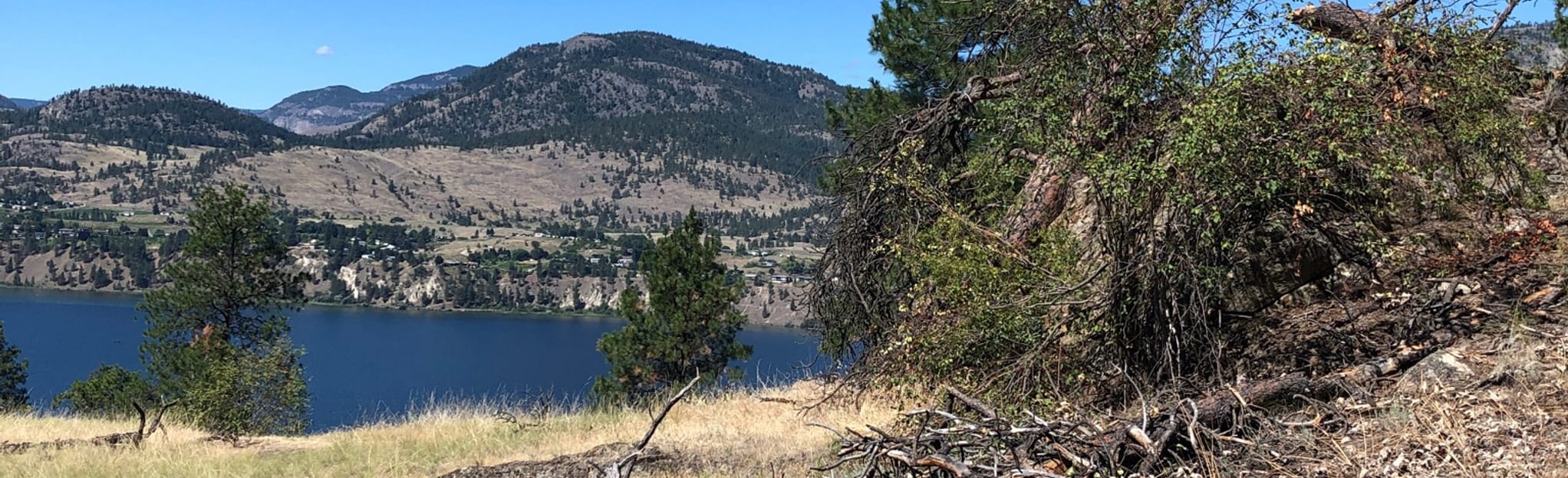 Skaha Bluffs Pictographs: 69 Reviews, Map - British Columbia, Canada ...