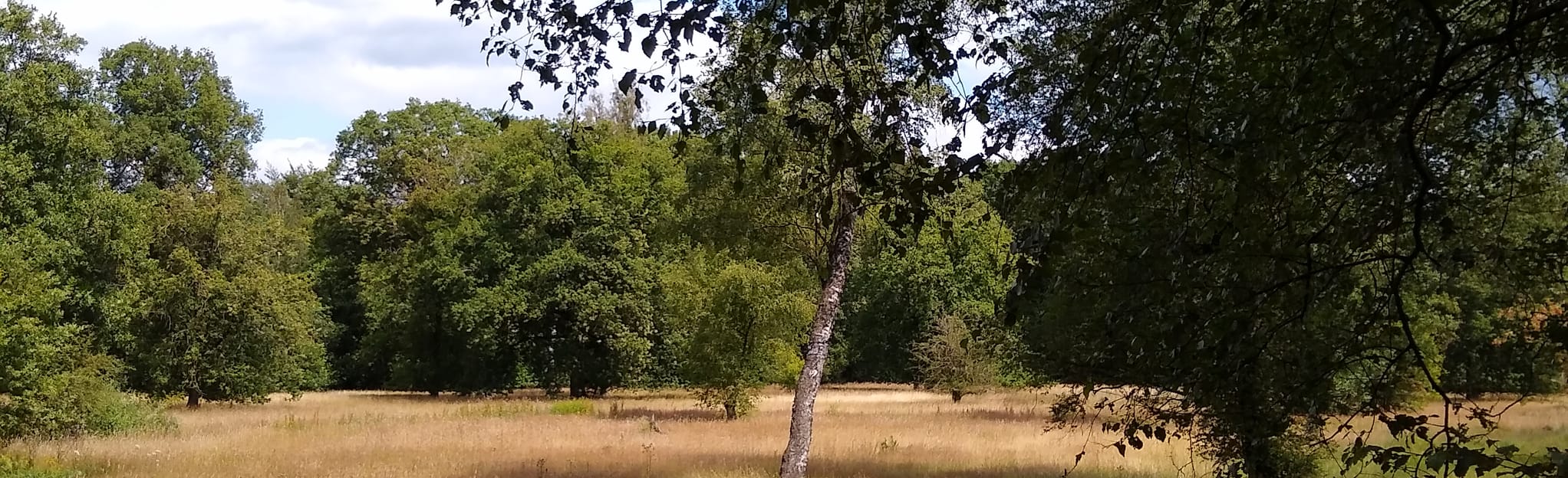 Lettlele/Oostermaet Groene Wandelroute: 15 Fotos - Provinz Overijssel ...