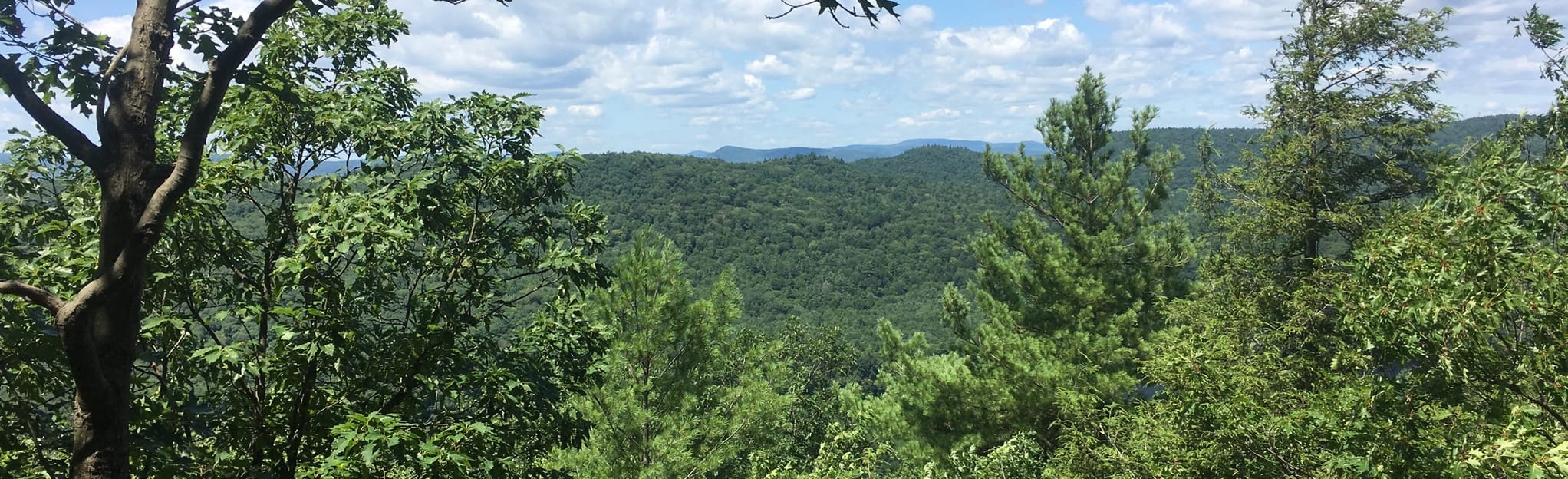 Western Ridge Trail, New York - 195 Reviews, Map | AllTrails