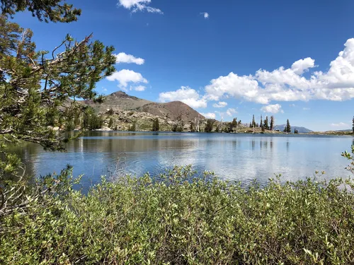 Best Hikes and Trails in Red Lake Wildlife Area | AllTrails