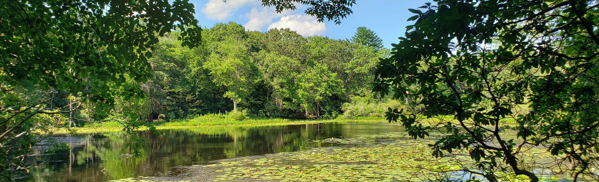 Rockery Trail: 232 Reviews, Map - Massachusetts | AllTrails