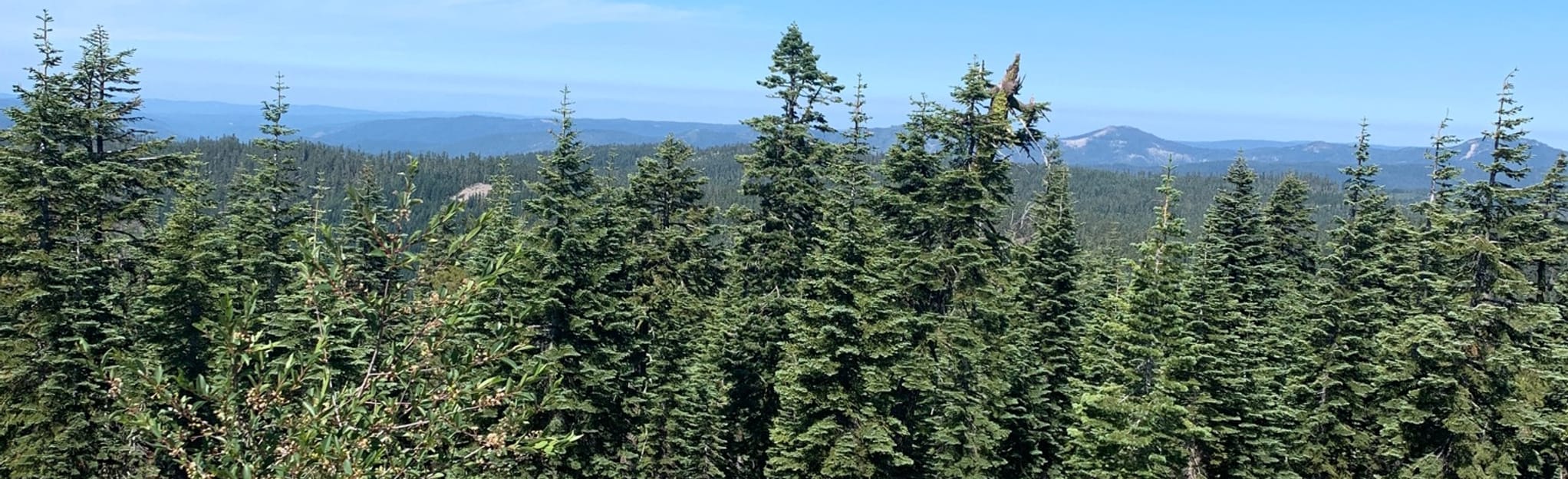 Sierra Buttes Trail, California - 1,122 Reviews, Map | AllTrails