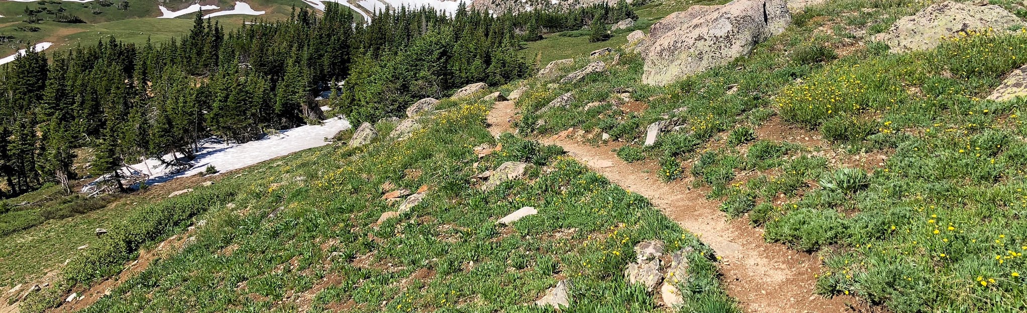 Thunder Pass via American Lakes Trail: 582 foto's - Colorado | AllTrails