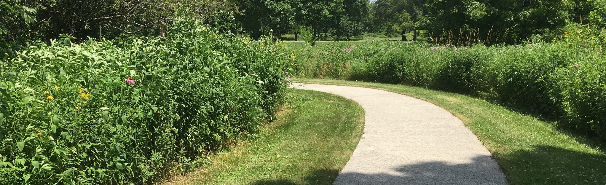 Herbert Hoover Interpretative Trail, Iowa - 68 Reviews, Map | AllTrails