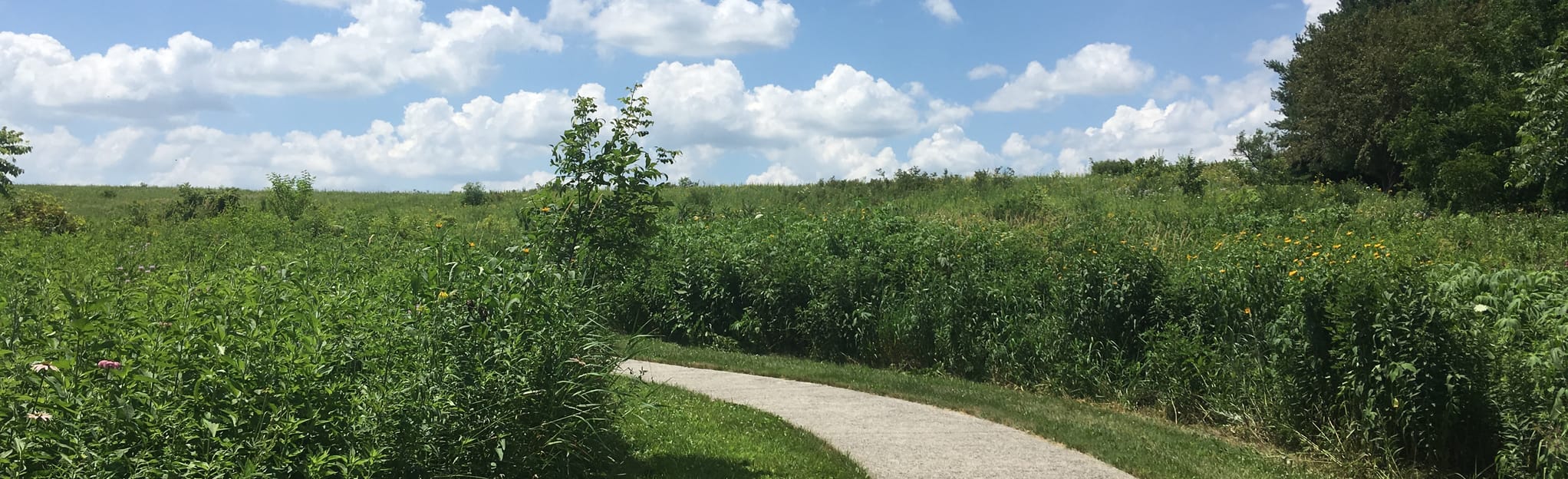 Herbert Hoover Prairie Trail Loop, 28 Fotos - Iowa | AllTrails