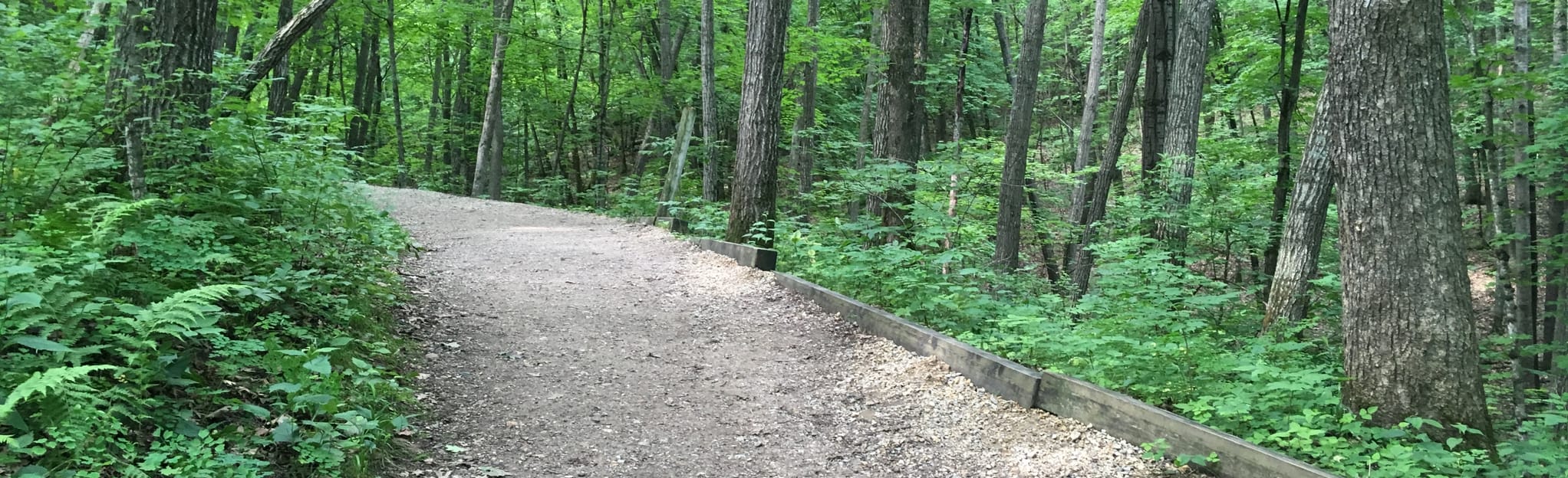 White Oak and Hidden Falls Loop, Minnesota - 273 Reviews, Map | AllTrails