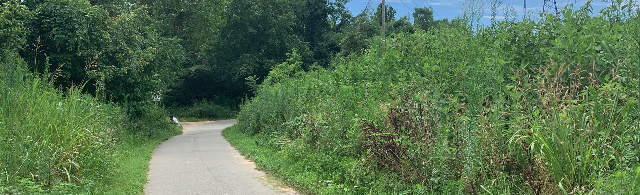 Rivanna River Trail | Map, Guide - Virginia | AllTrails