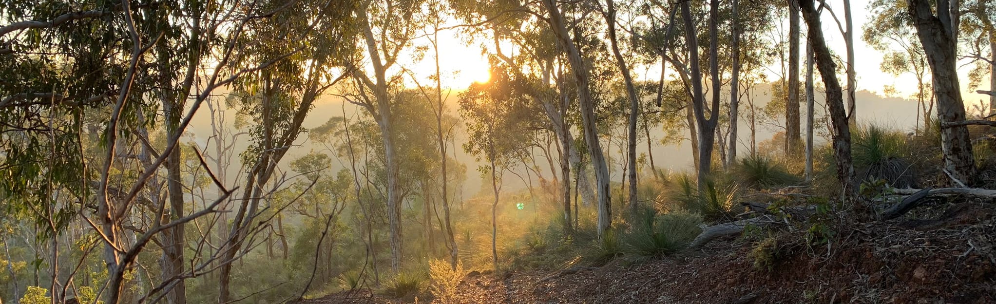 Mason Bird Heritage and Victoria Dam Loop, Western Australia, Australia ...