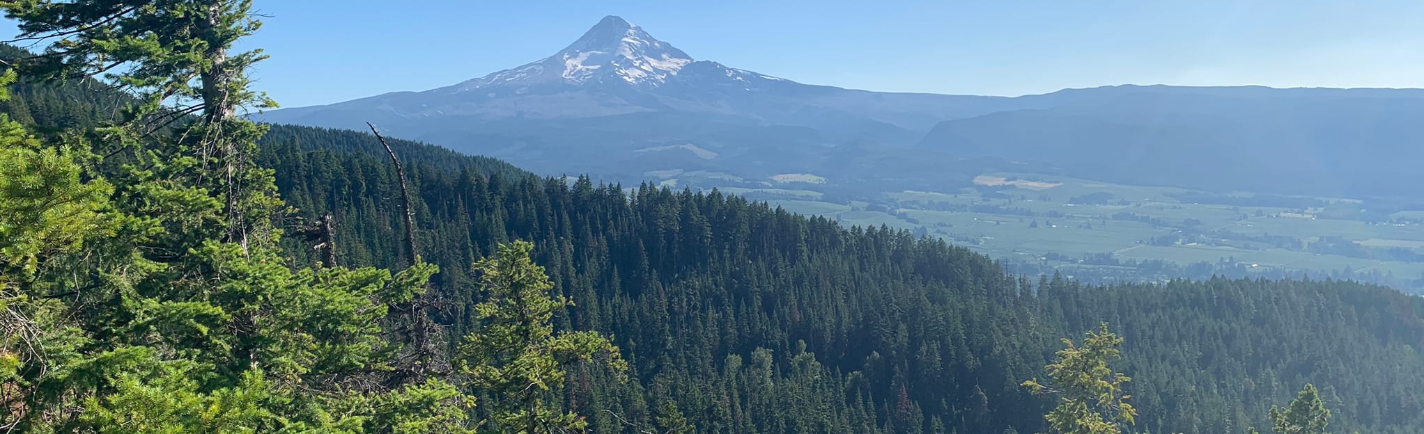 Bald Butte Trail, Oregon - 264 Reviews, Map | AllTrails