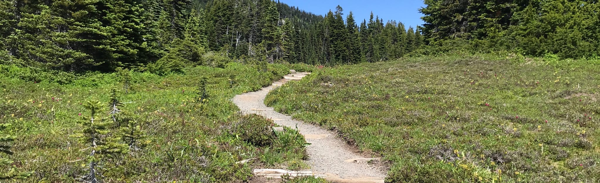 Knapsack Pass and Spray Park Trail Loop | Mappa, Guida - Washington ...