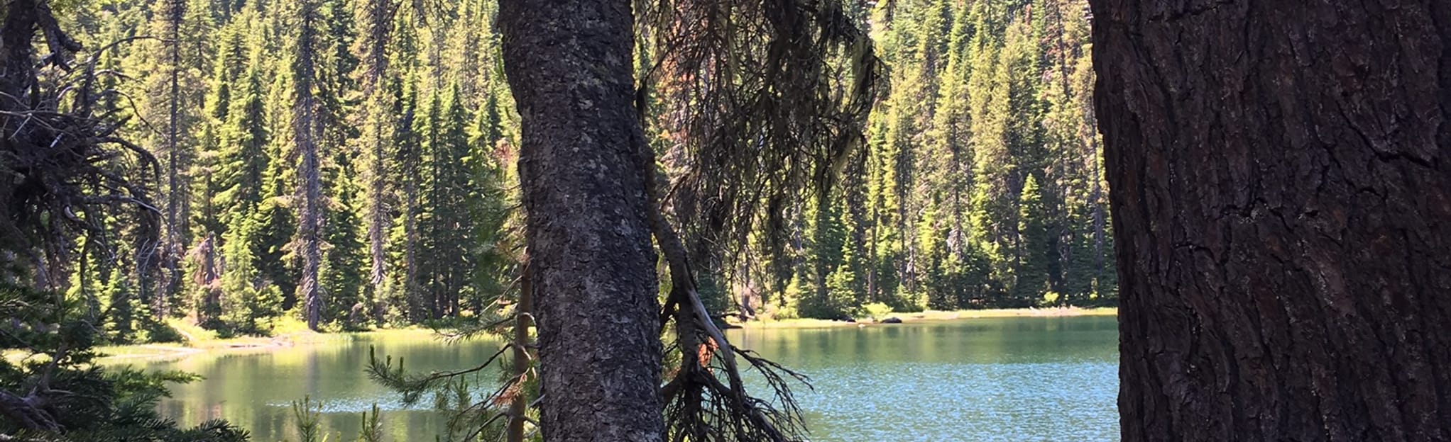 Blue Canyon Trail to the South Blue Lake Group: 50 Reviews, Map ...