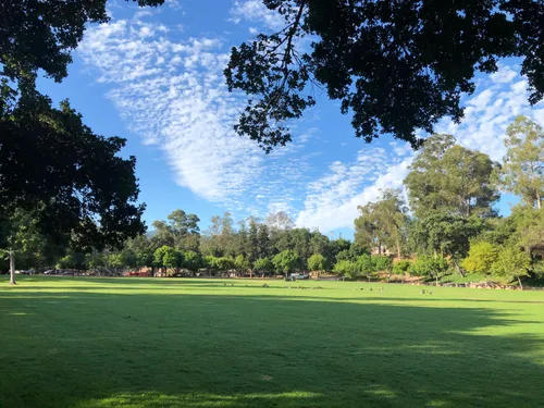 Best Hikes and Trails in Vasona Lake County Park | AllTrails