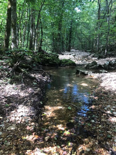 Best 10 Hikes and Trails in Busiek State Forest and Wildlife Area ...