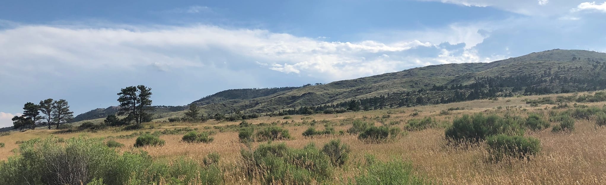 Ginny and Valley Loop Trail, Colorado - 62 Reviews, Map | AllTrails