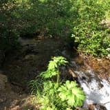 Swampy Pass Loop, Colorado - 71 Reviews, Map | AllTrails