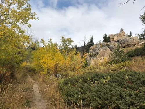 10 Best Trails and Hikes in Red Lodge | AllTrails