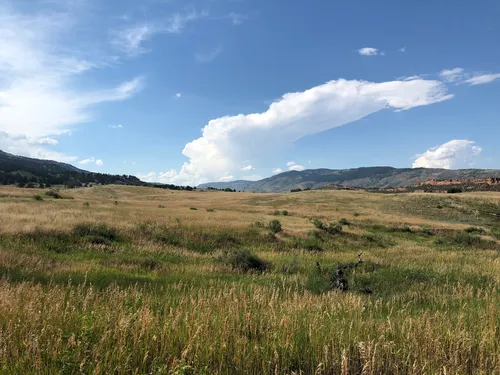 Best Hikes and Trails in Bobcat Ridge Natural Area | AllTrails