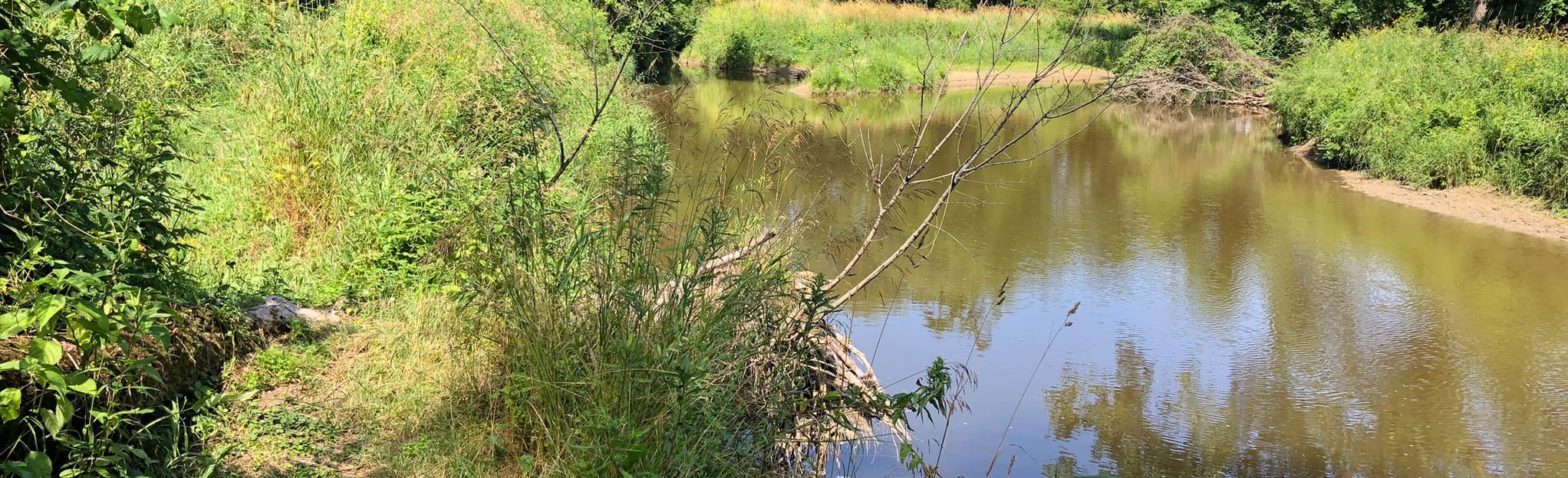 Ruby Campground Singletrack, Michigan - 24 Reviews, Map | AllTrails