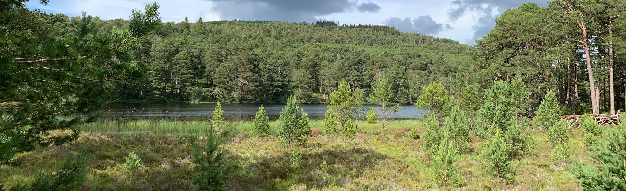 Loch An Eilein and Loch Morlich | Map, Guide - Highlands, Scotland ...