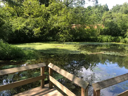 Best Hikes and Trails in Tyler Arboretum | AllTrails