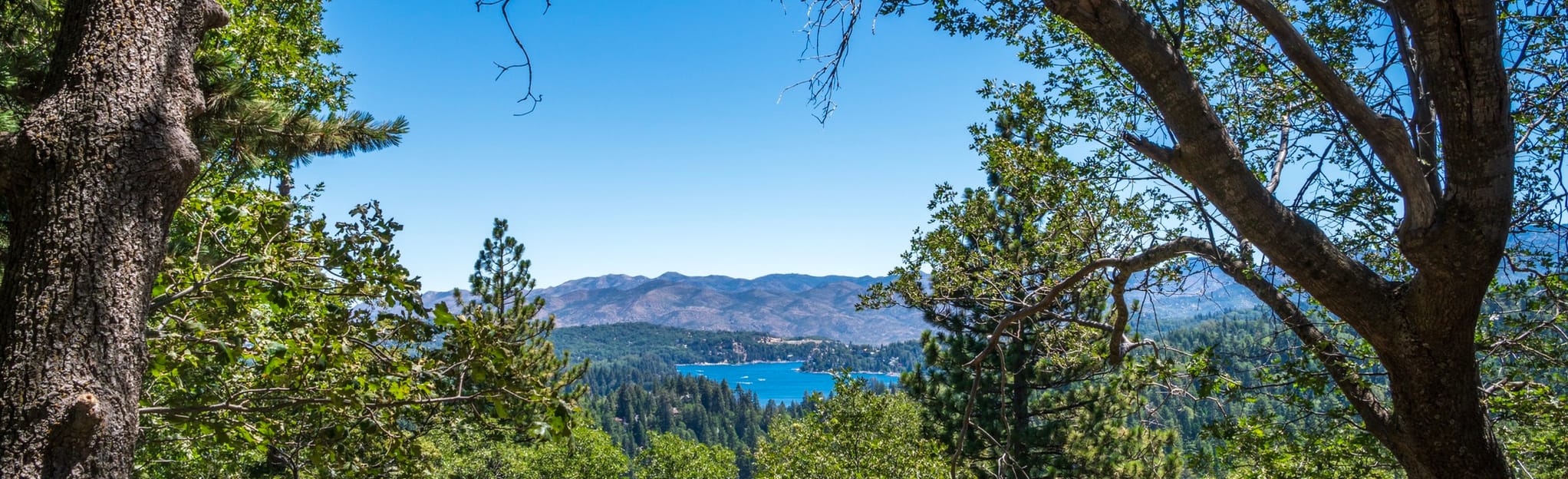 Will Abell Memorial Trail, California - 2,386 Reviews, Map | AllTrails